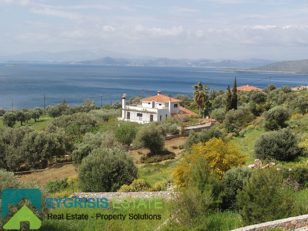 Traditional Village, Subdvision – Central Greece, Euboea Island, Nea ...