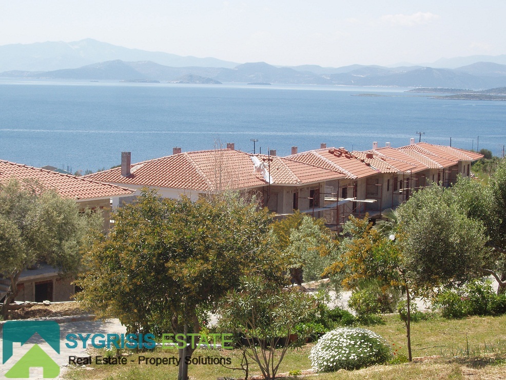 Traditional Village, Subdvision – Central Greece, Euboea Island, Nea ...